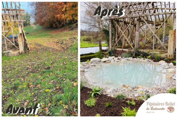 [REALISATION] Construction d'un bassin naturel | Pépinières Bellet